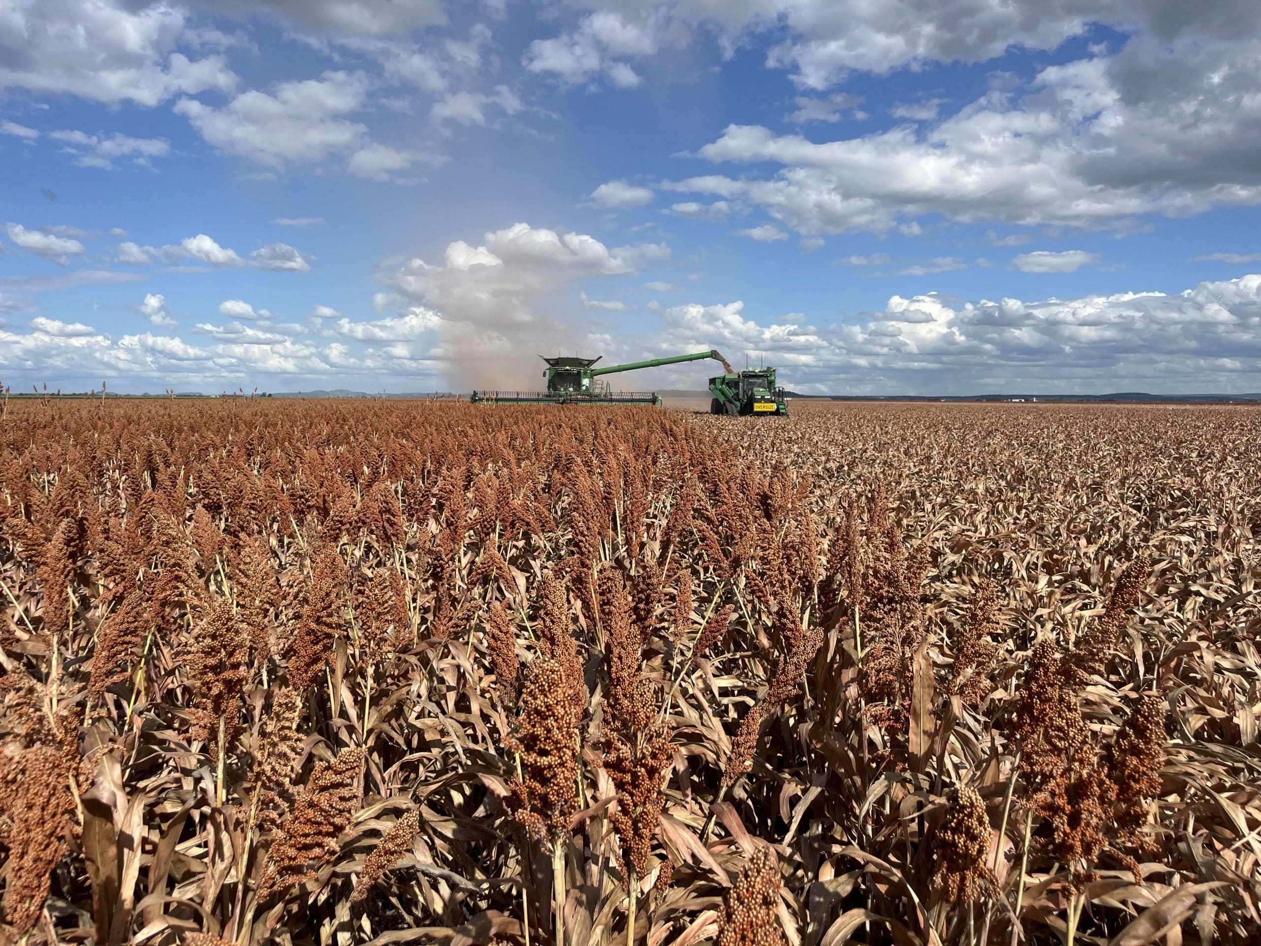 Header and chaser bin - Broadacre Contracting